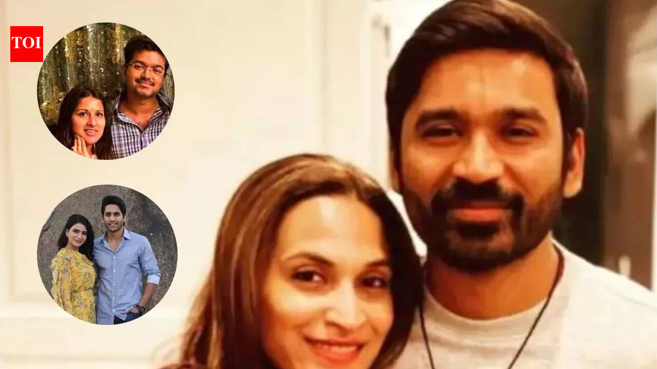Vijay's Wife Sankgeetha Files For Divorce: From Thalapathy Vijay to ...