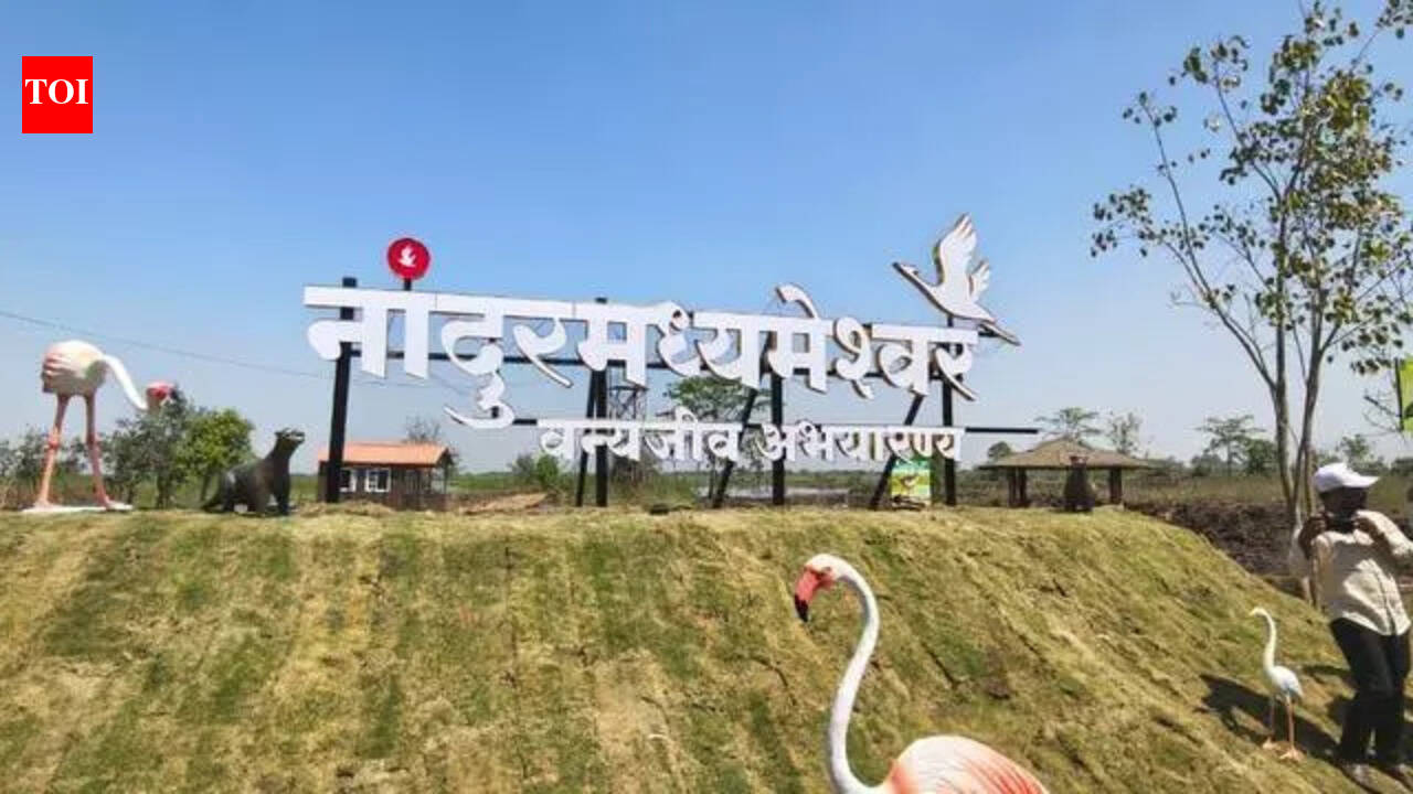 Strict noise, excavation curbs at bird sanctuary in Niphad | Nashik ...
