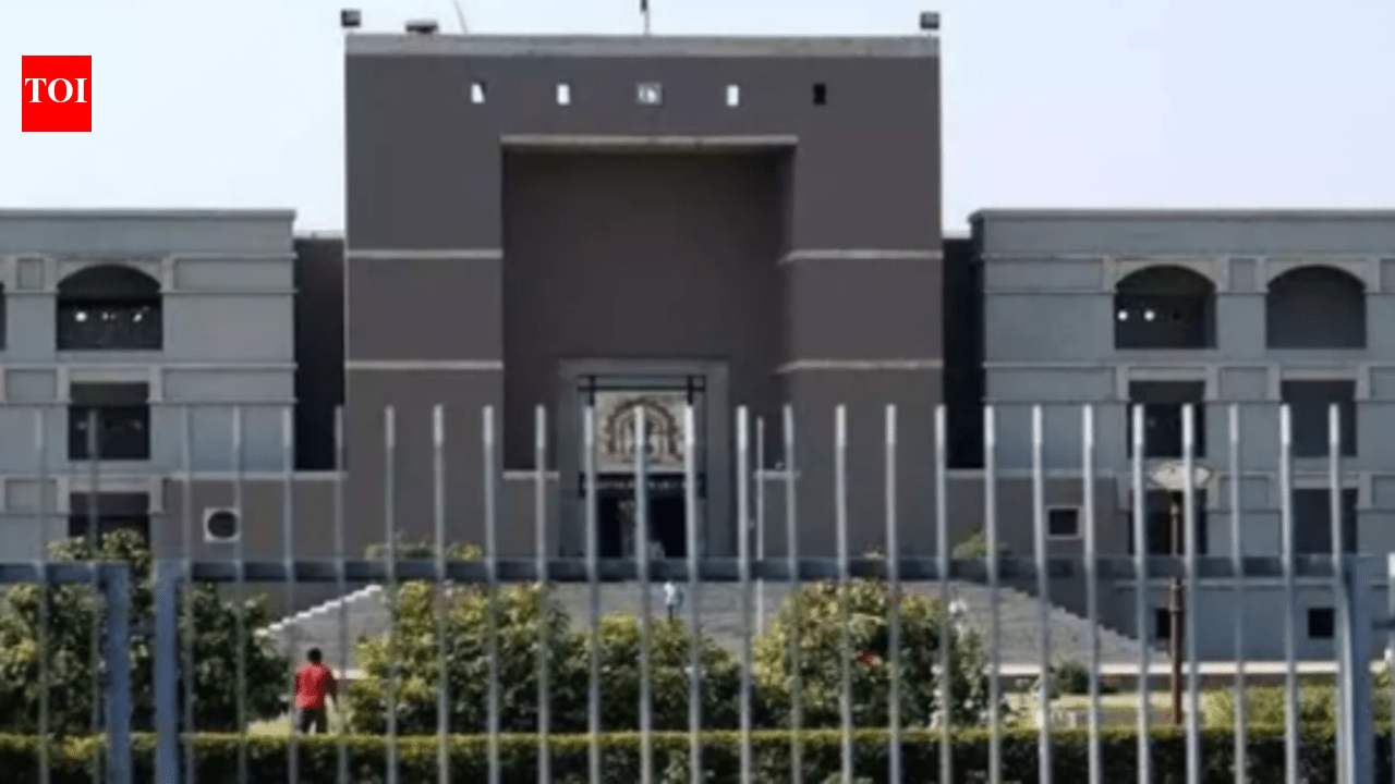 Can adoption override two-child norm? Gujarat high court to decide in ...