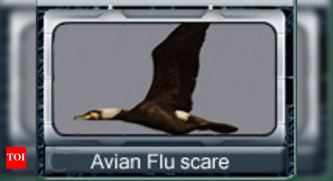 Kaziranga braces against avian flu scare - Times of India