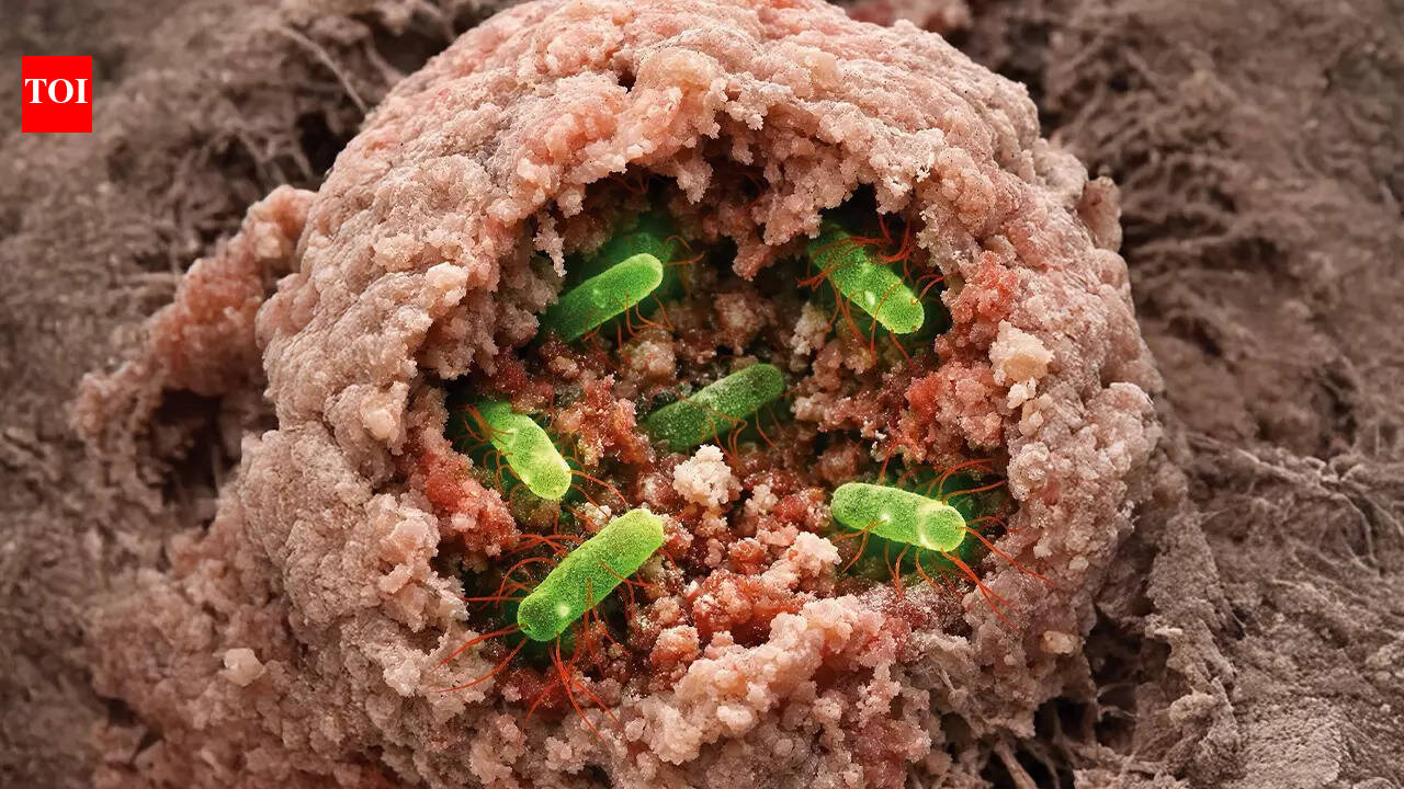 Bacteria programmed to eat up a tumour. Can this revolutionise cancer ...