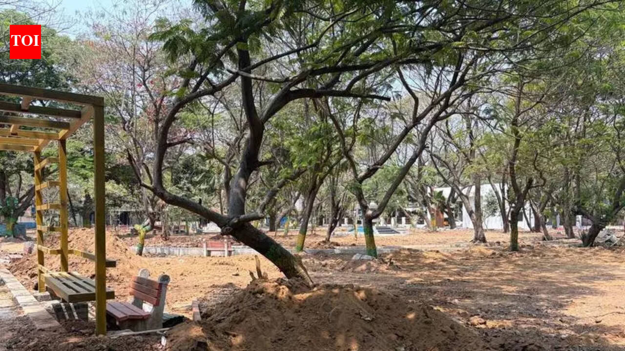 Anna Nagar park dug up since Jan | Chennai News - The Times of India