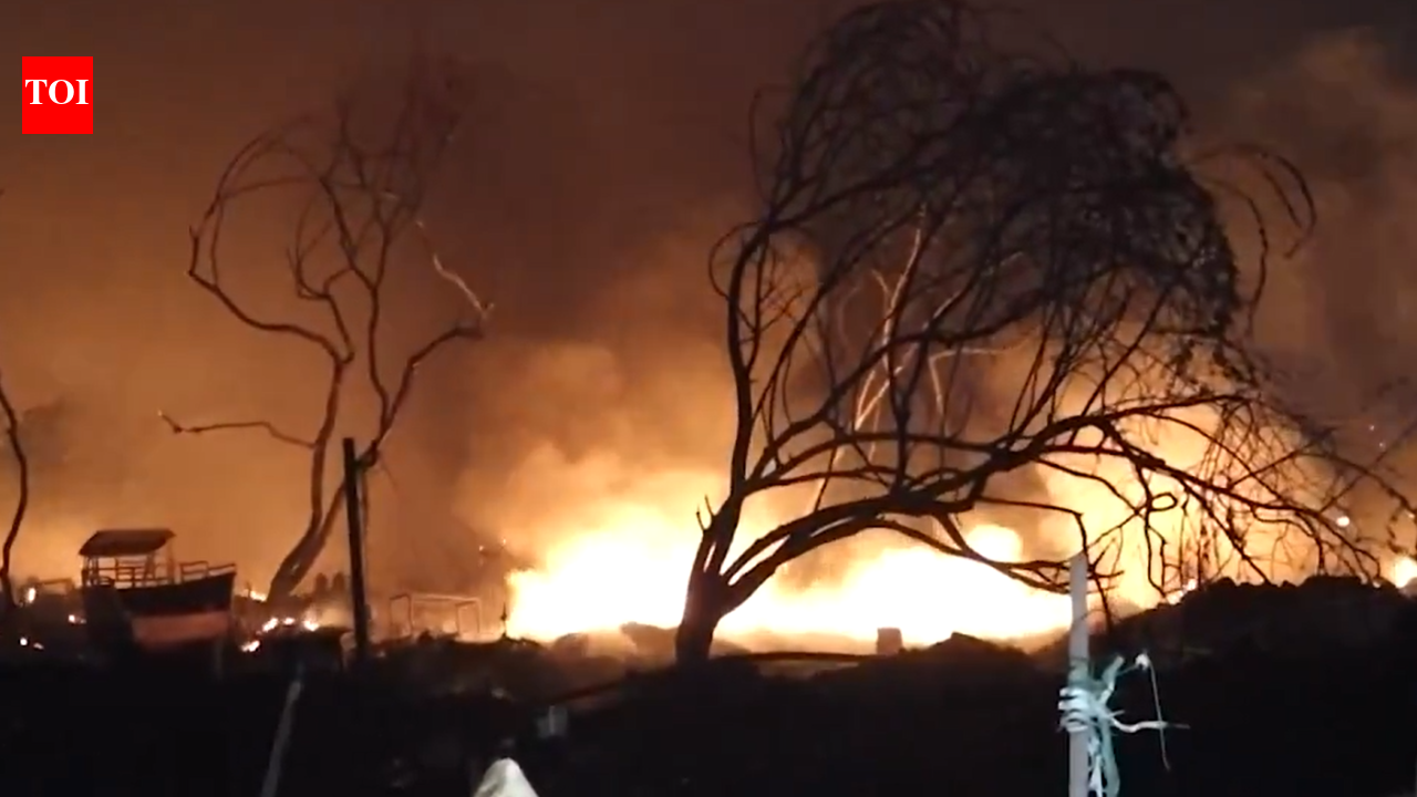 Fire breaks out at Mansa Ram Park shanties in southwest Delhi; several ...