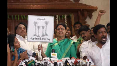Sasikala names party ‘All India Puratchi Thalaivar Makkal Munnetra ...