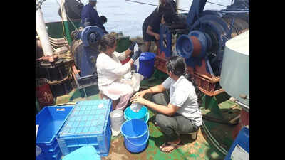 CMFRI launches seamount fishery research initiative in Arabian sea ...