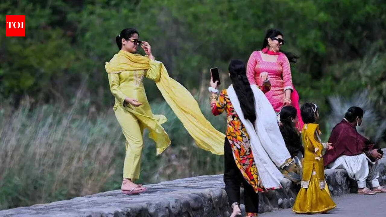 Sun shines again but fails to warm city up | Chandigarh News - The ...