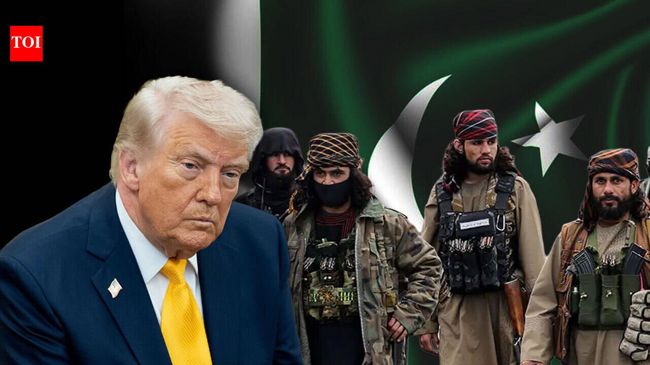 15 major terror groups still have safe haven in Pak: US report | India ...