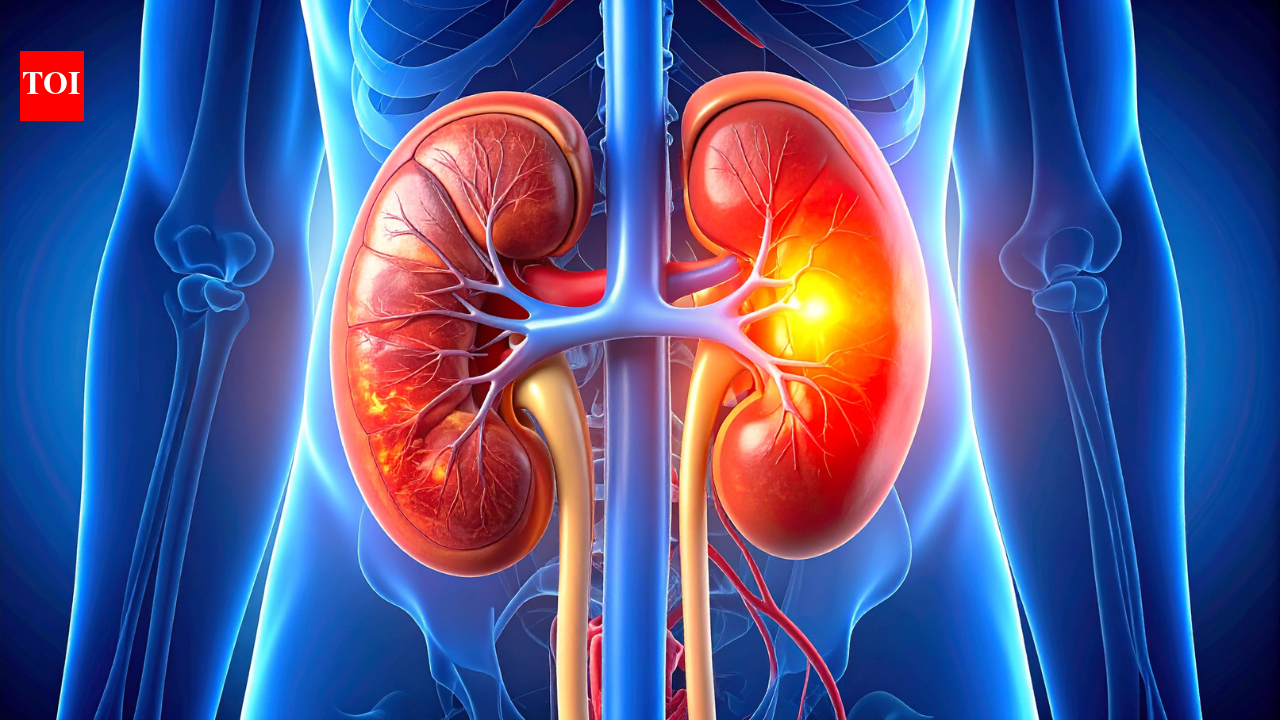 Uric acid vs creatinine: What these kidney markers really reveal about ...