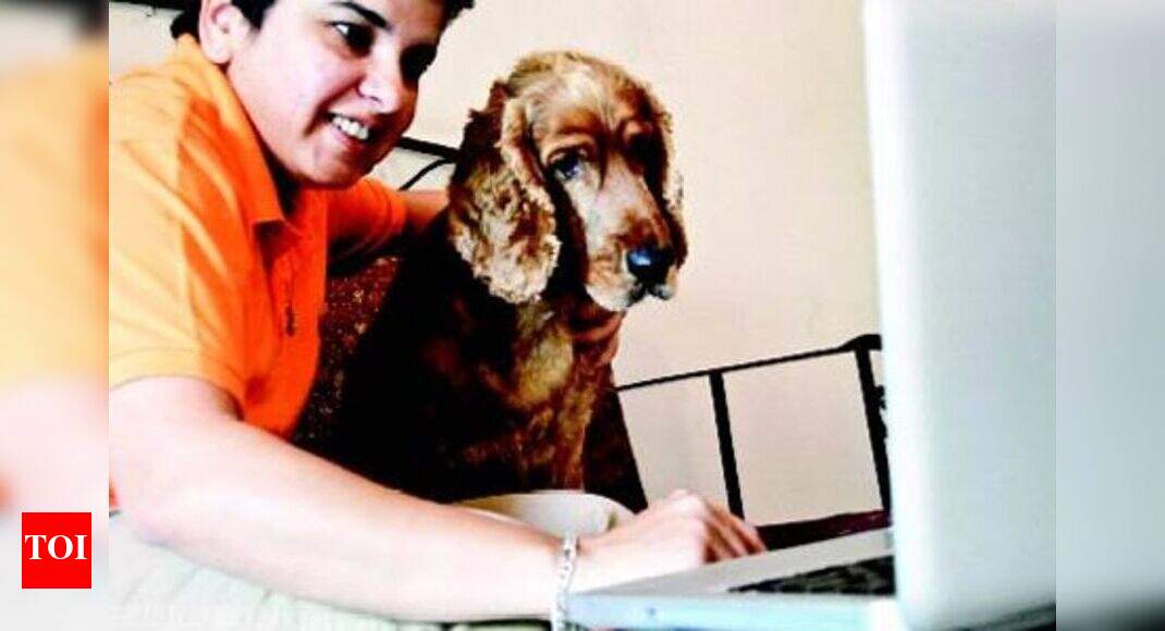 Wag your tail if you like this channel - Times of India