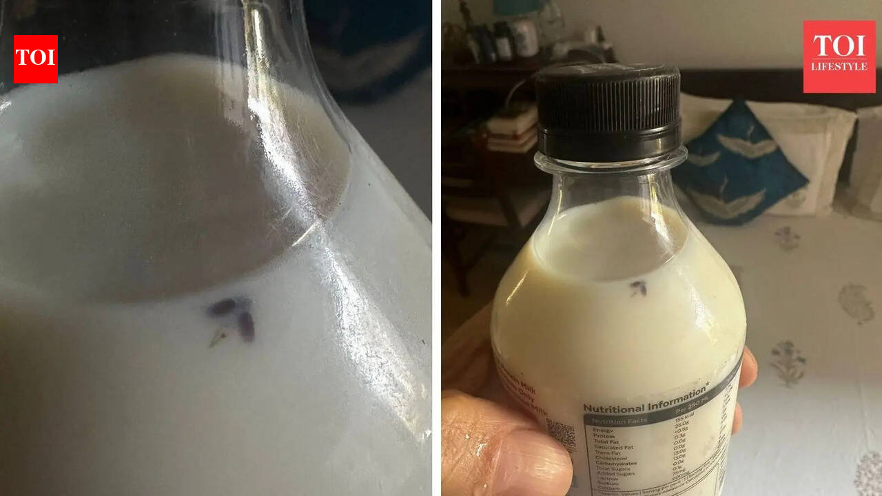 ‘Is this your idea of protein?’ Author finds insect in Provilac milk ...