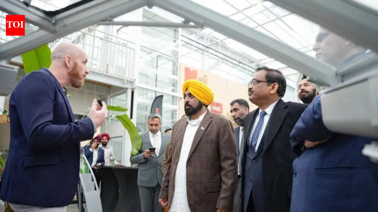 Mann pitches for semiconductor R&D hub in Mohali to top chipmaker ...