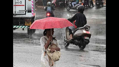 Light rainfall in parts of Kerala, humid weather continues | Kochi News ...