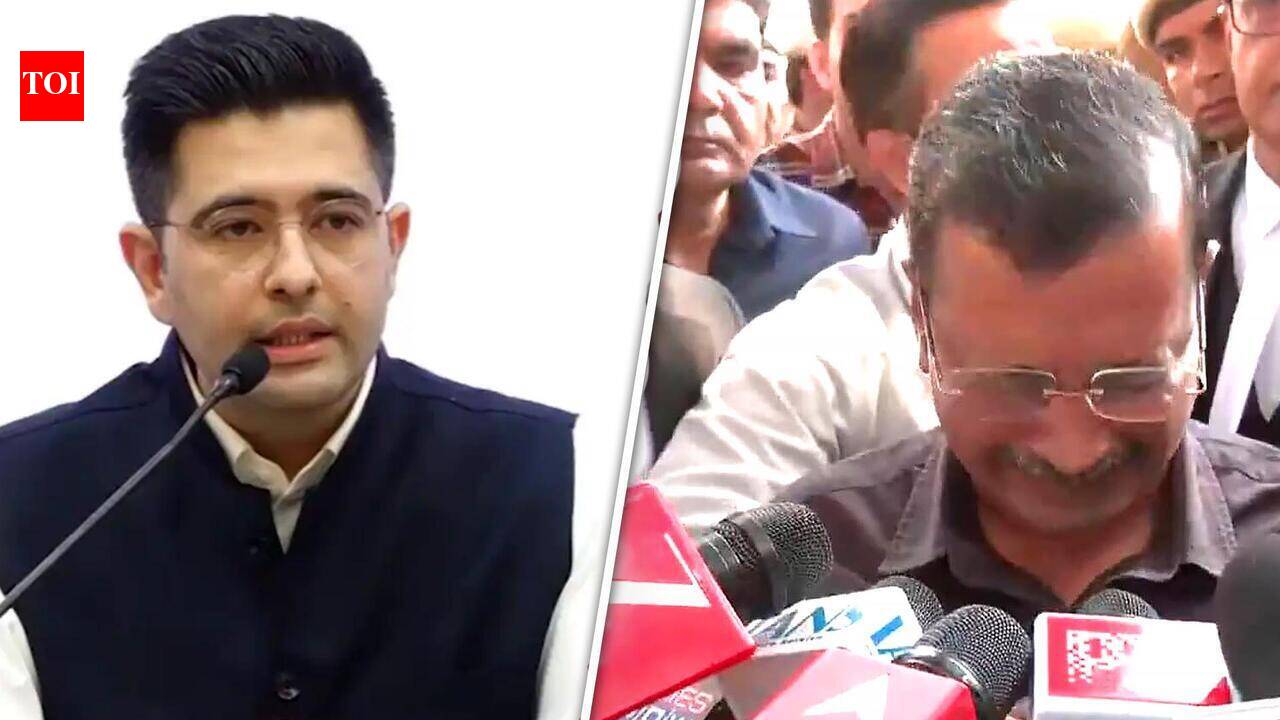 Exit of Raghav Chadha, Sandeep Pathak leaves AAP’s 2022 strategists who ...