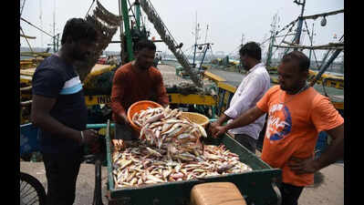 Deep-sea fishing ban spurs 40% surge in freshwater fish costs in AP ...