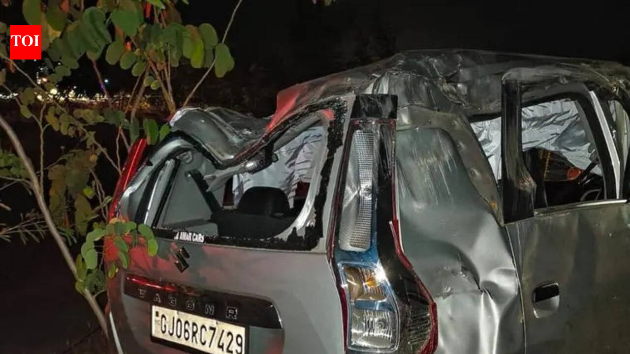 Tragedy on expressway: Four including three brothers die in accident ...
