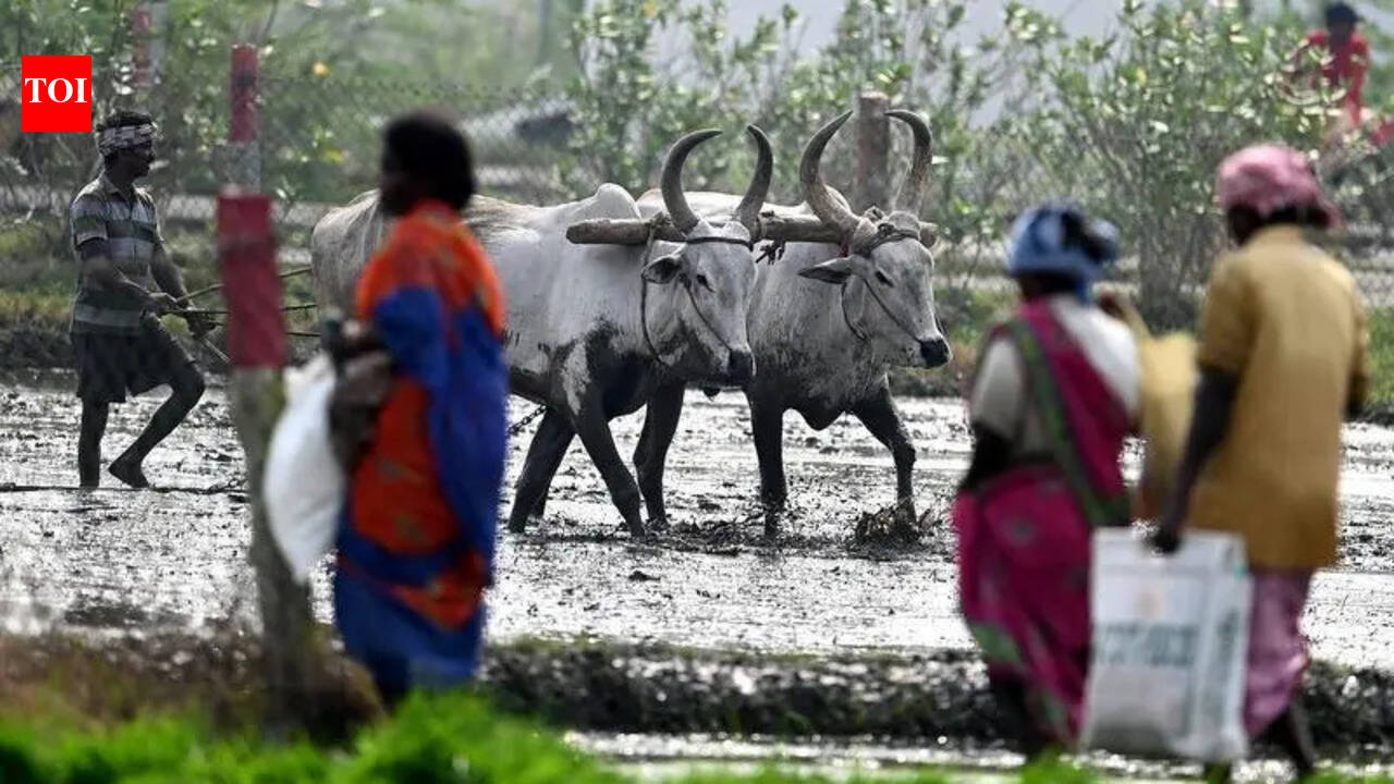 Farmers’ outfits demand immediate loan waiver, urge state not to wait ...