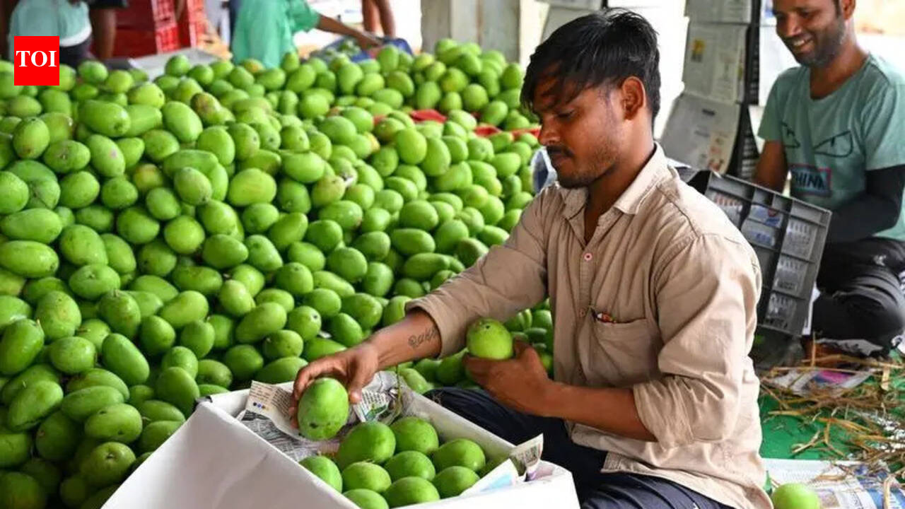 Fuel crisis hits mango exports, shrimp farming in Andhra Pradesh ...