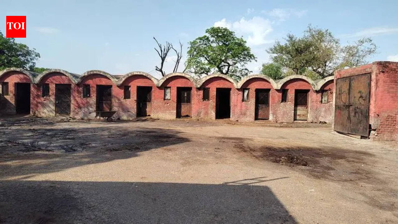 After years of delay, MC approves new abattoir project | Chandigarh ...