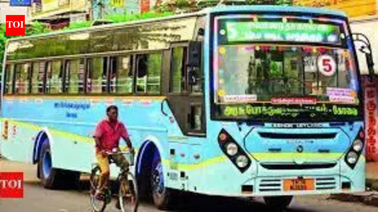 Spl buses for Muhurtham day | Chennai News - The Times of India