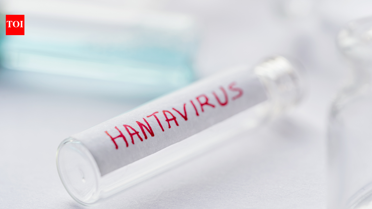 Hantavirus Symptoms May Look Mild At First But Doctors Say Kidneys And