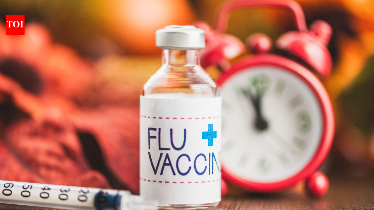 Bird Flu outbreak in Maharashtra: How humans can get infected and the ...