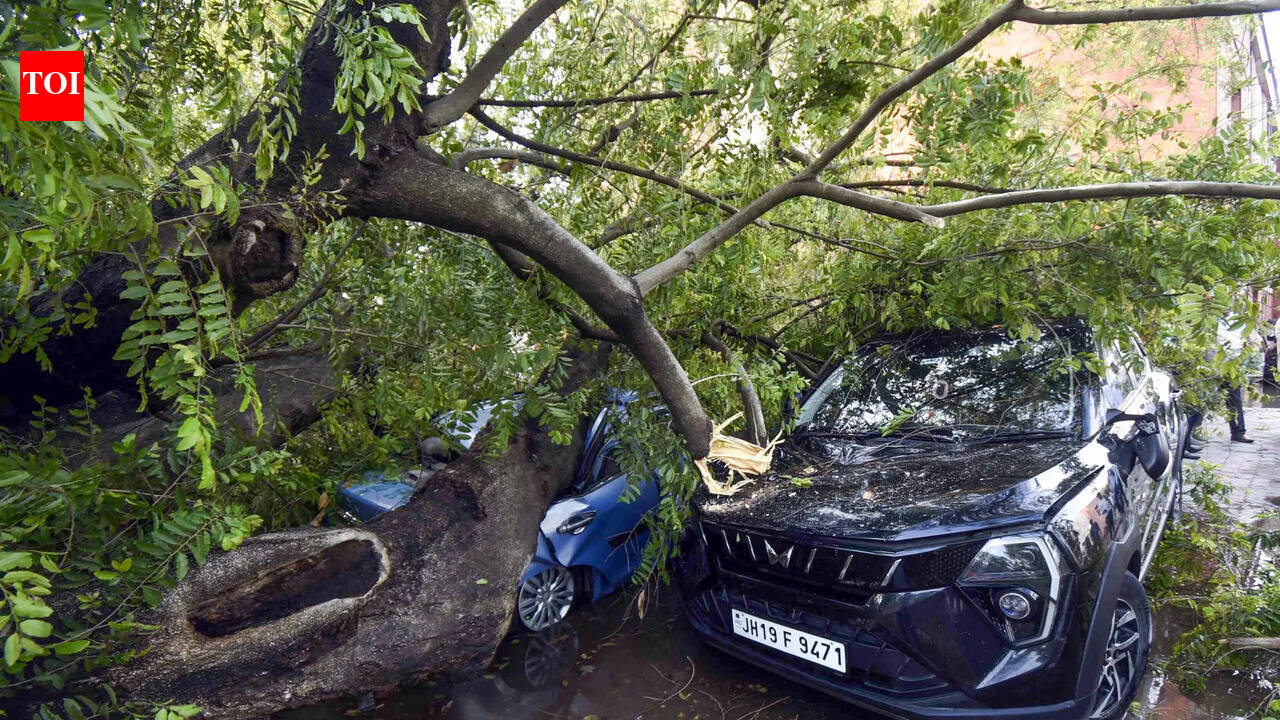 Seven die as thunderstorm & lightning wreak havoc in state | Patna News ...