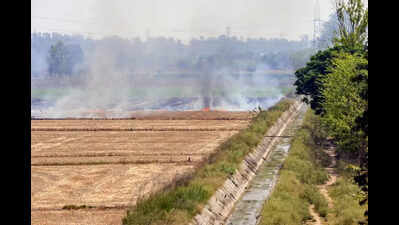 Farm fires explode: Ferozepur worst hit in Punjab’s wheat belt ...