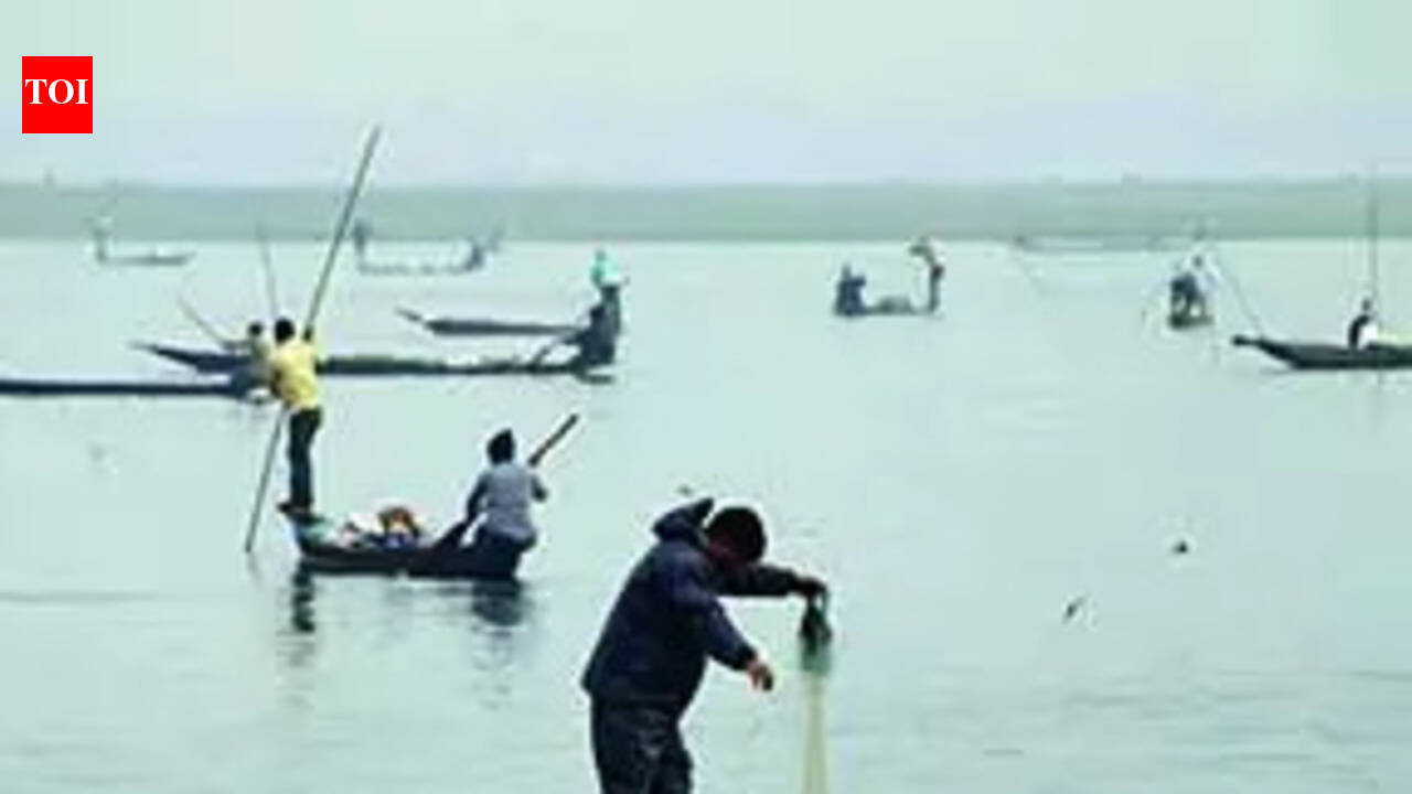 Govt vows to plant 10 times the no. of trees felled near Deepor Beel ...