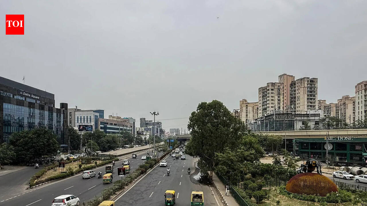 Gurgaon’s maximum temperature rises to 36°C, but stays below season’s ...