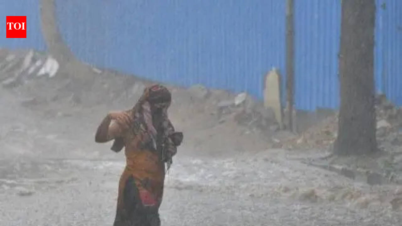 Extreme weather claimed 175 lives in AP in 2024: NCRB | Vijayawada News ...