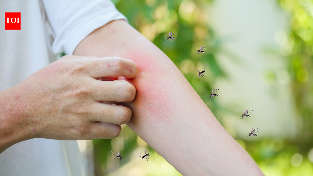 National Dengue Day 2026: Doctors warn Dengue is now a year-round ...