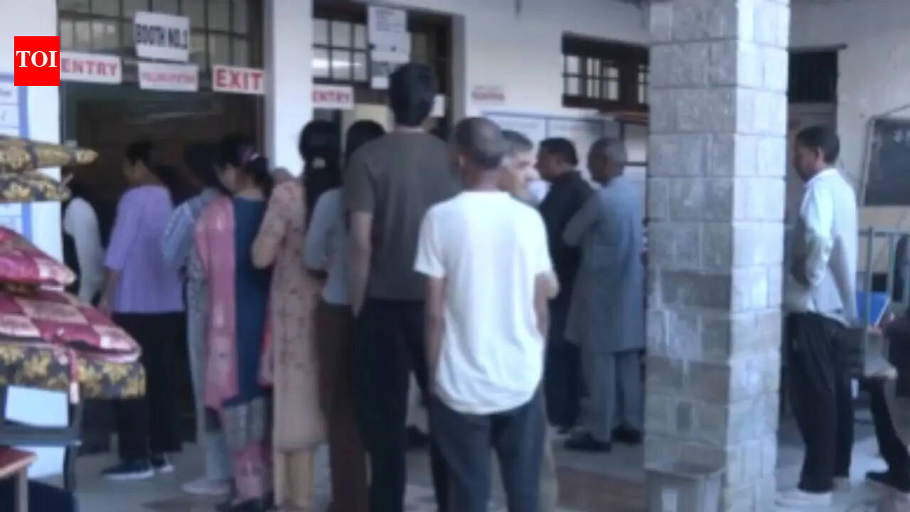 Himachal civic elections 2026: Voting underway across 51 urban local ...