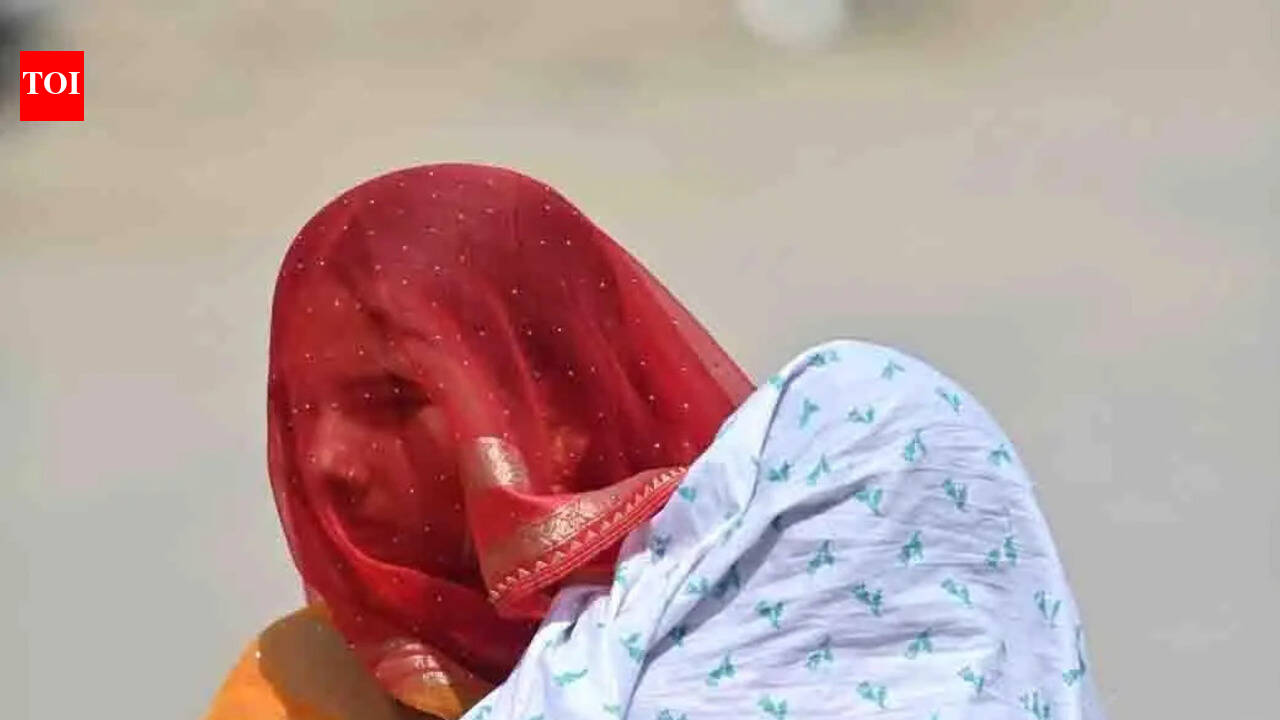 Temperature likely to touch 48-50 degrees Celsius mark during ‘Nautapa ...