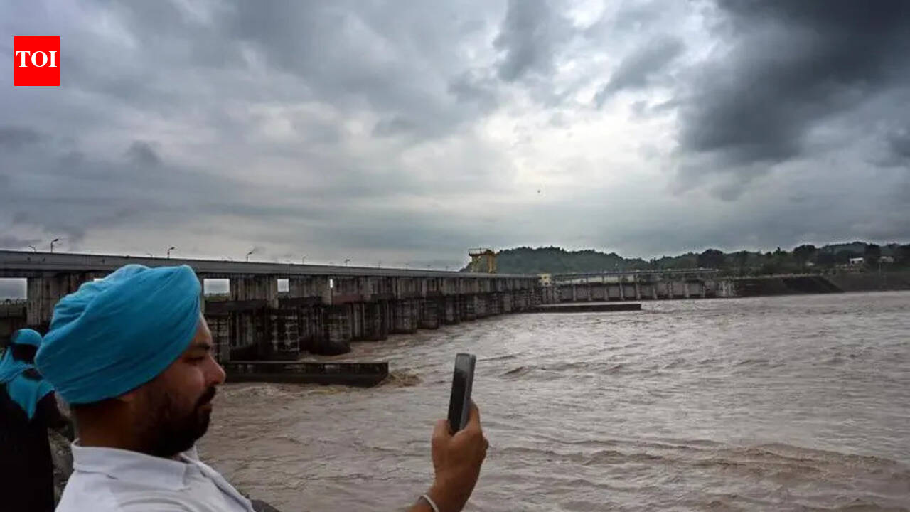 Yamuna pollution: Haryana set to deploy drones to map drains
