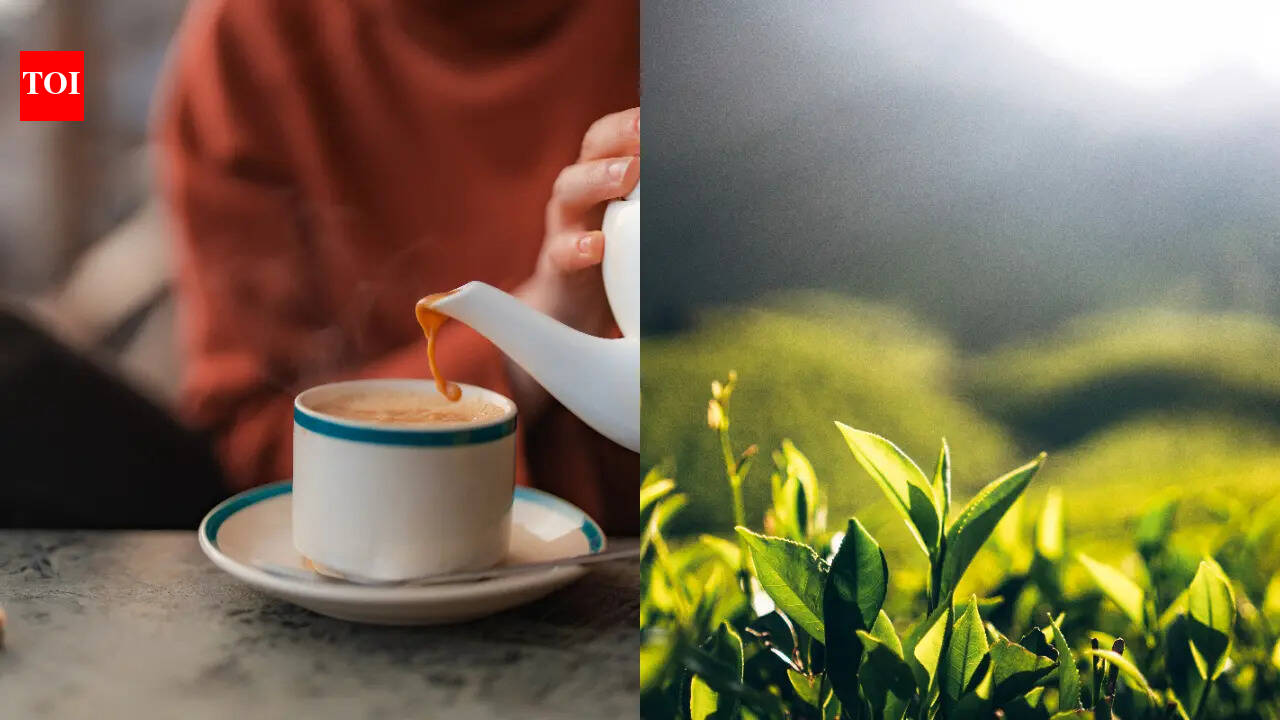 International Tea Day 2026: 6 culinary uses of tea leaves apart from ...