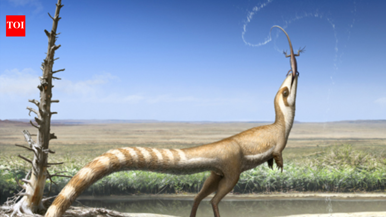 In 2010, fossil feathers under a microscope revealed dinosaur colours ...