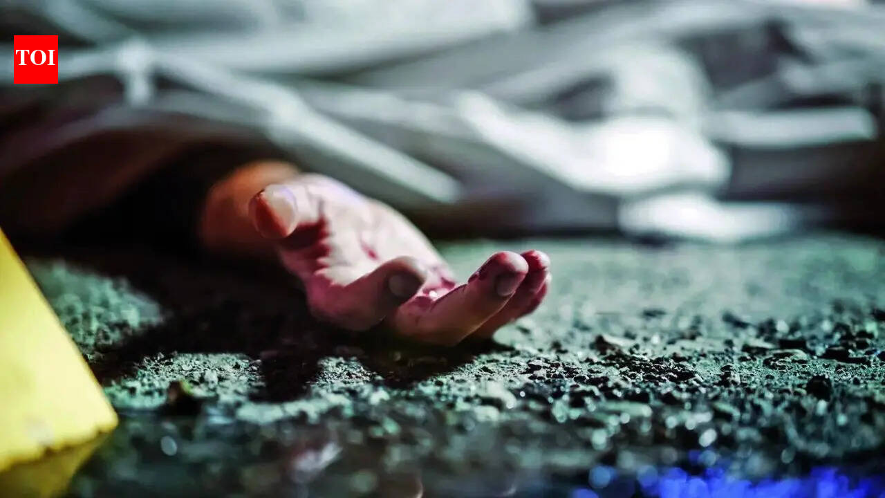 Auto driver killed, body dumped in pit | Bengaluru News - The Times of ...