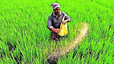 Govt waives crop loans up to ₹50,000 for marginal farmers; delta ...
