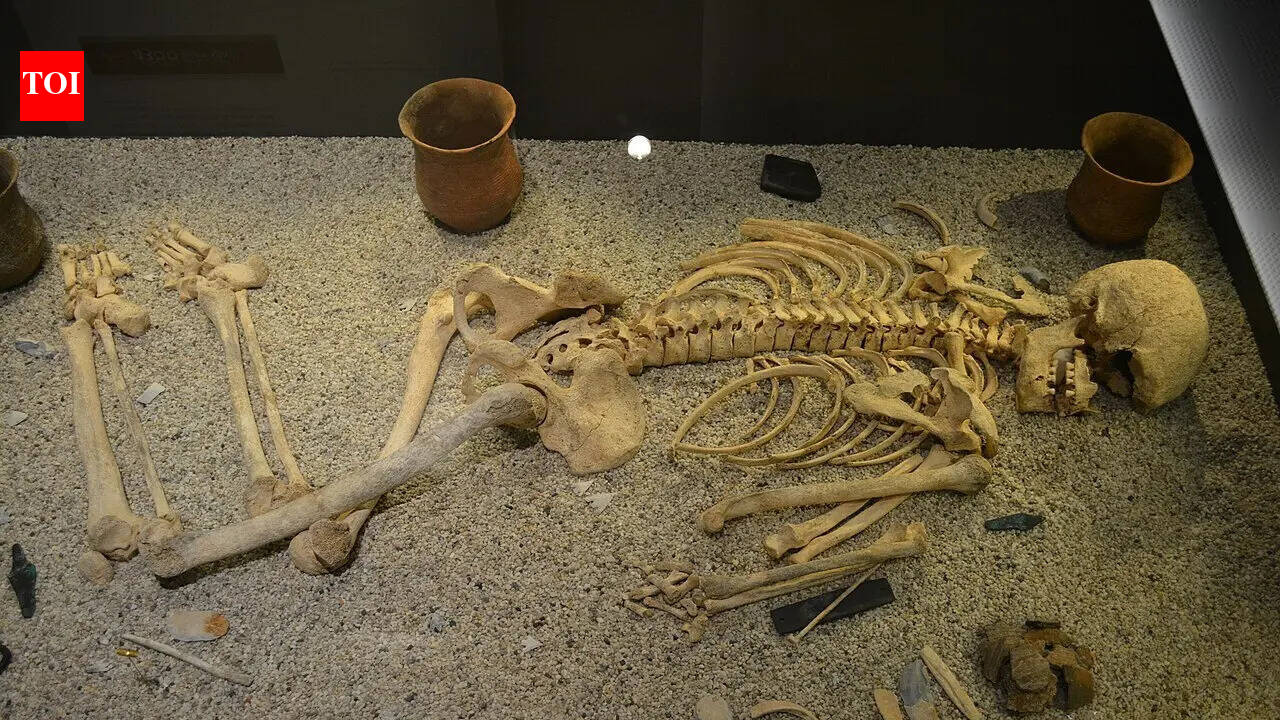 In 2002, a dig near Stonehenge uncovered Britain’s earliest gold ...