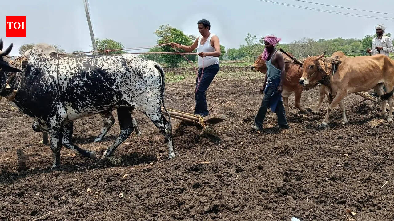 EC clears state’s proposal for farm loan waiver | Mumbai News - The ...