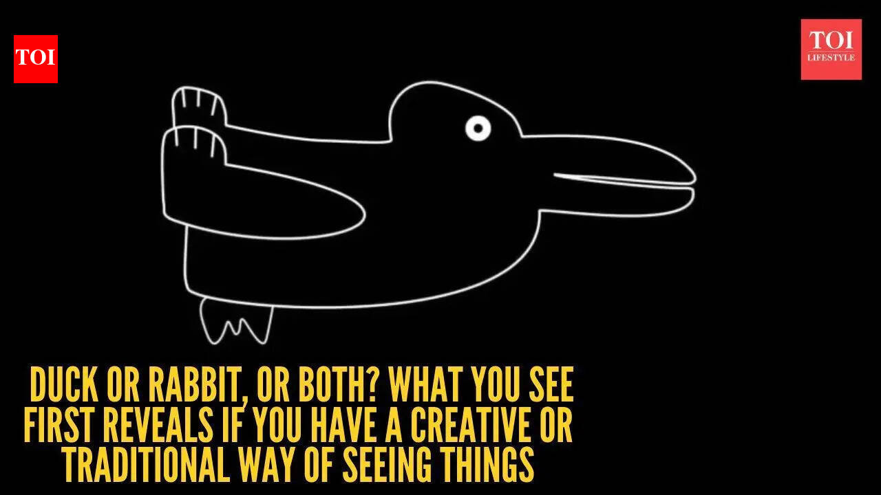 Optical illusion personality test: Duck or rabbit, or both? What you ...