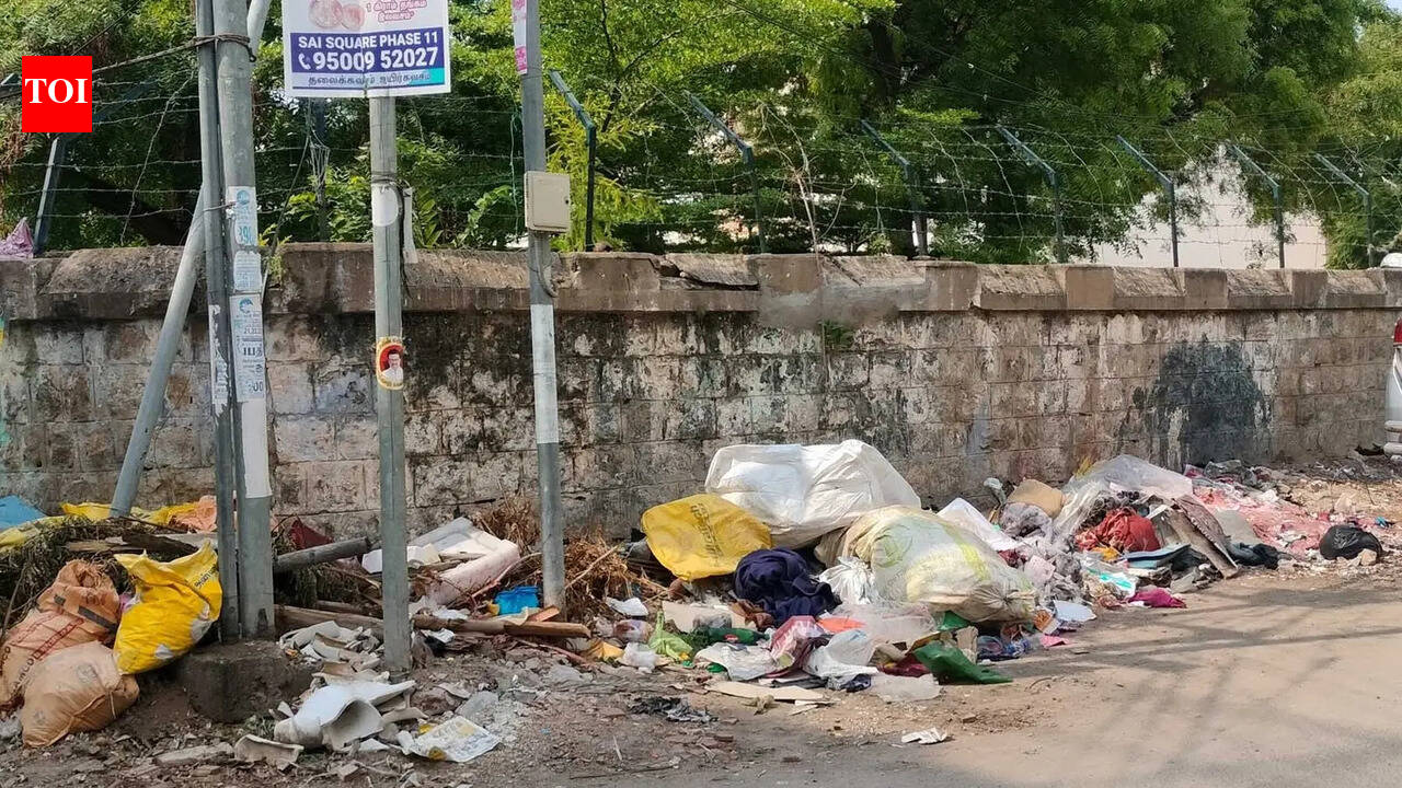 Shortage of bins intensifies garbage crisis in Madurai | Madurai News ...