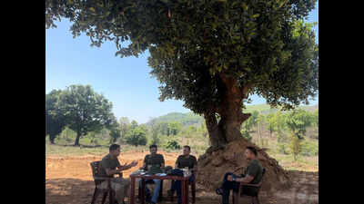 PTR’s Jaigeer Pahar turns into thriving wildlife habitat post human ...