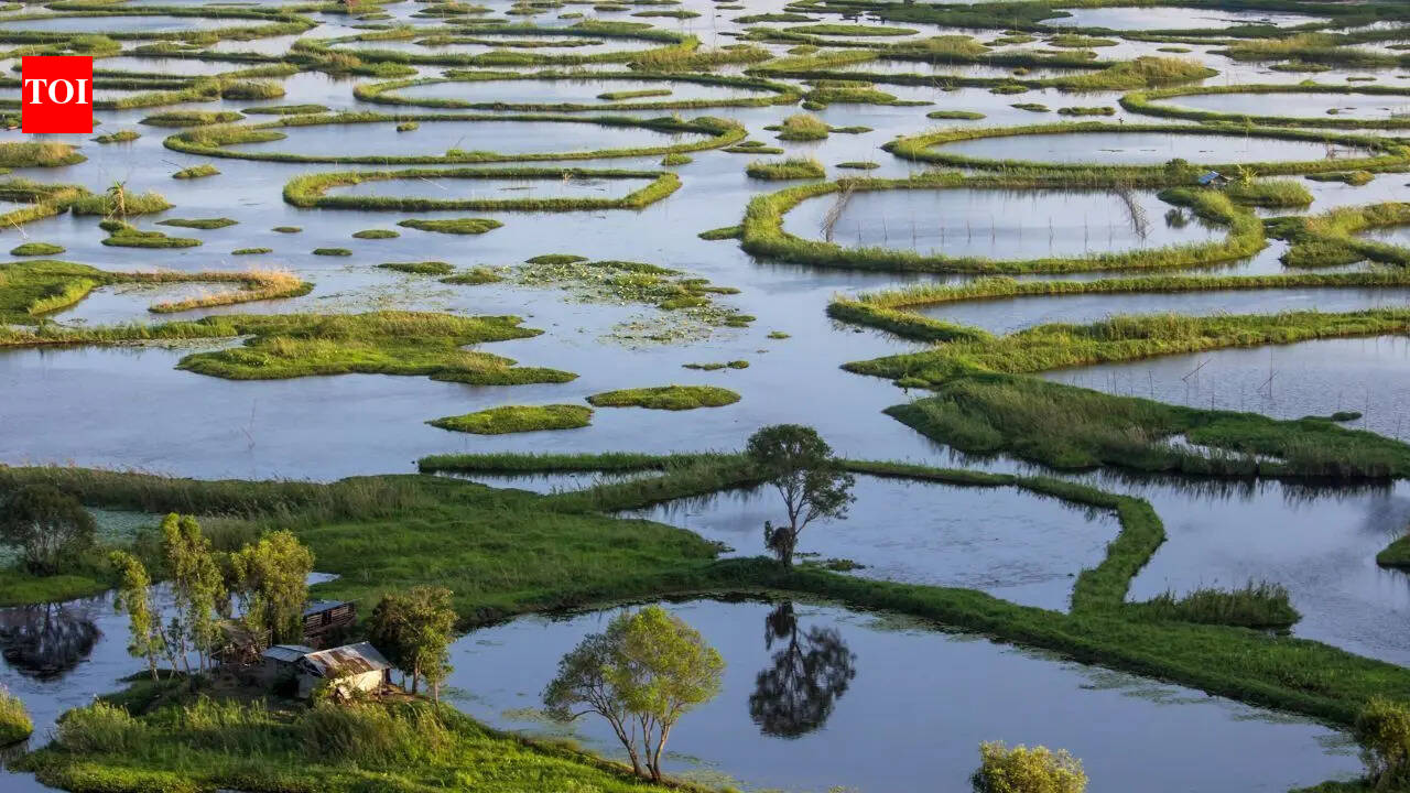 Manipur’s floating wonder: Inside India's mystical Loktak Lake - The ...