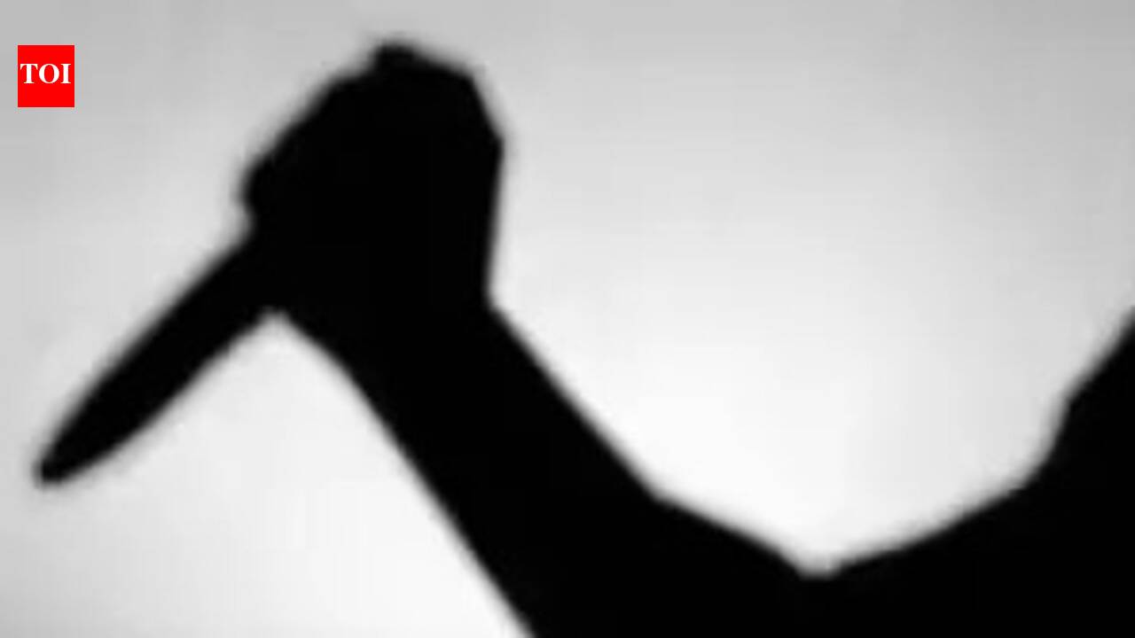 Man stabs woman to death | Chennai News - The Times of India