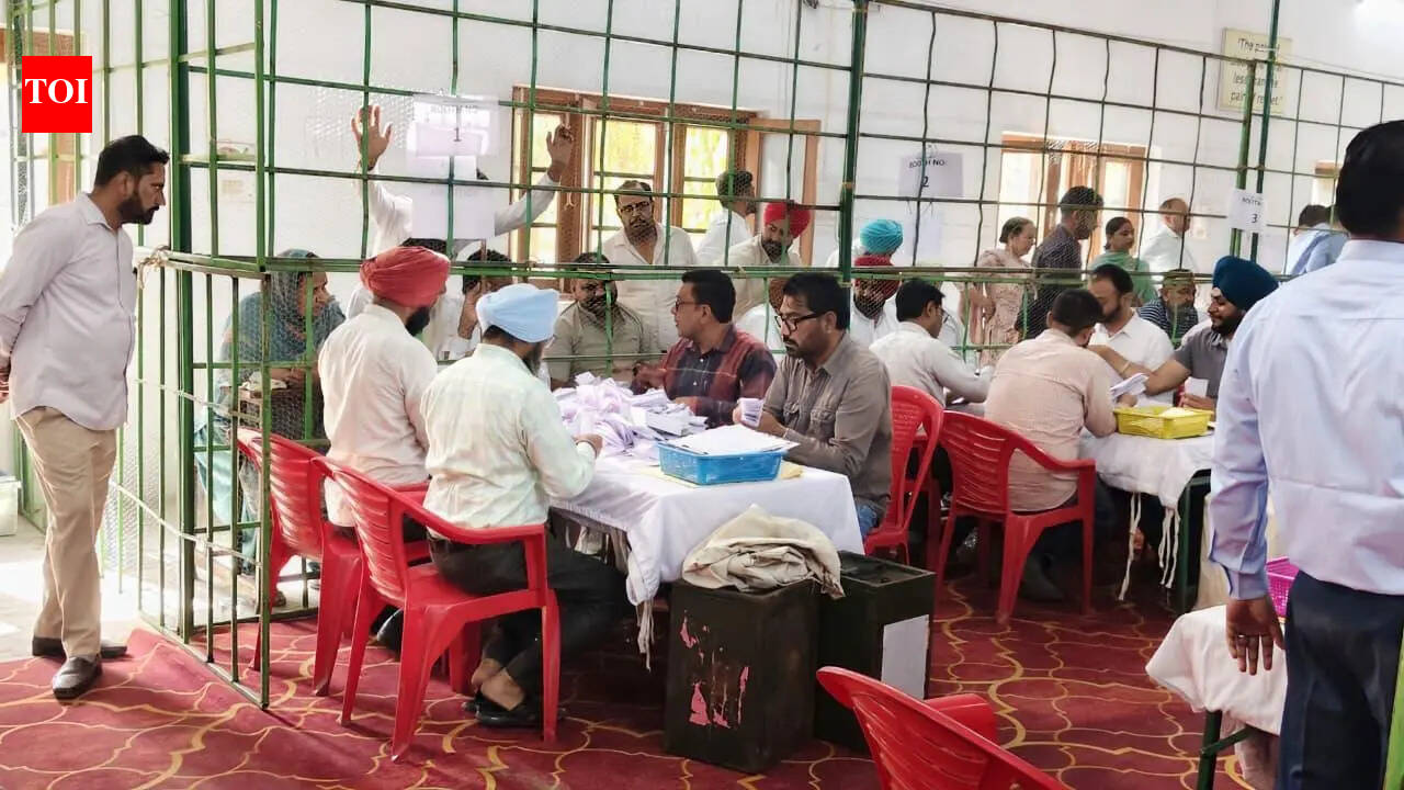 Punjab Civic Body Election Result 2026 Live Updates: Counting underway ...
