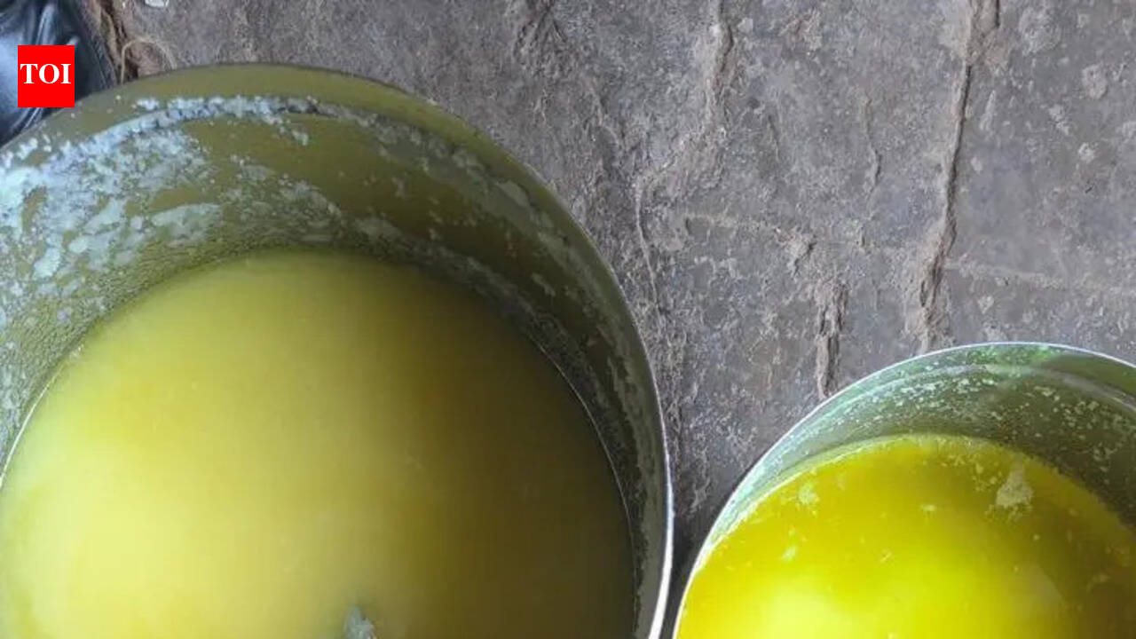 76-year-old held for selling adulterated desi ghee in Devbhumi Dwarka ...