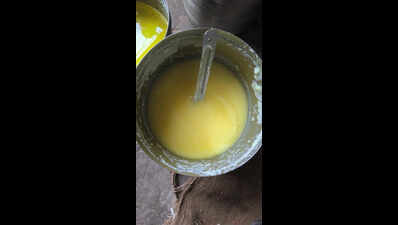 76-year-old held for selling adulterated desi ghee in Devbhumi Dwarka ...