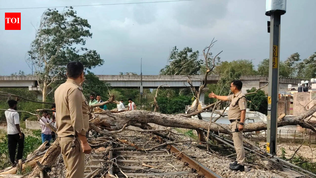 Hailstorm, heavy rain batter Uttarakhand; rail ops disrupted, crops ...
