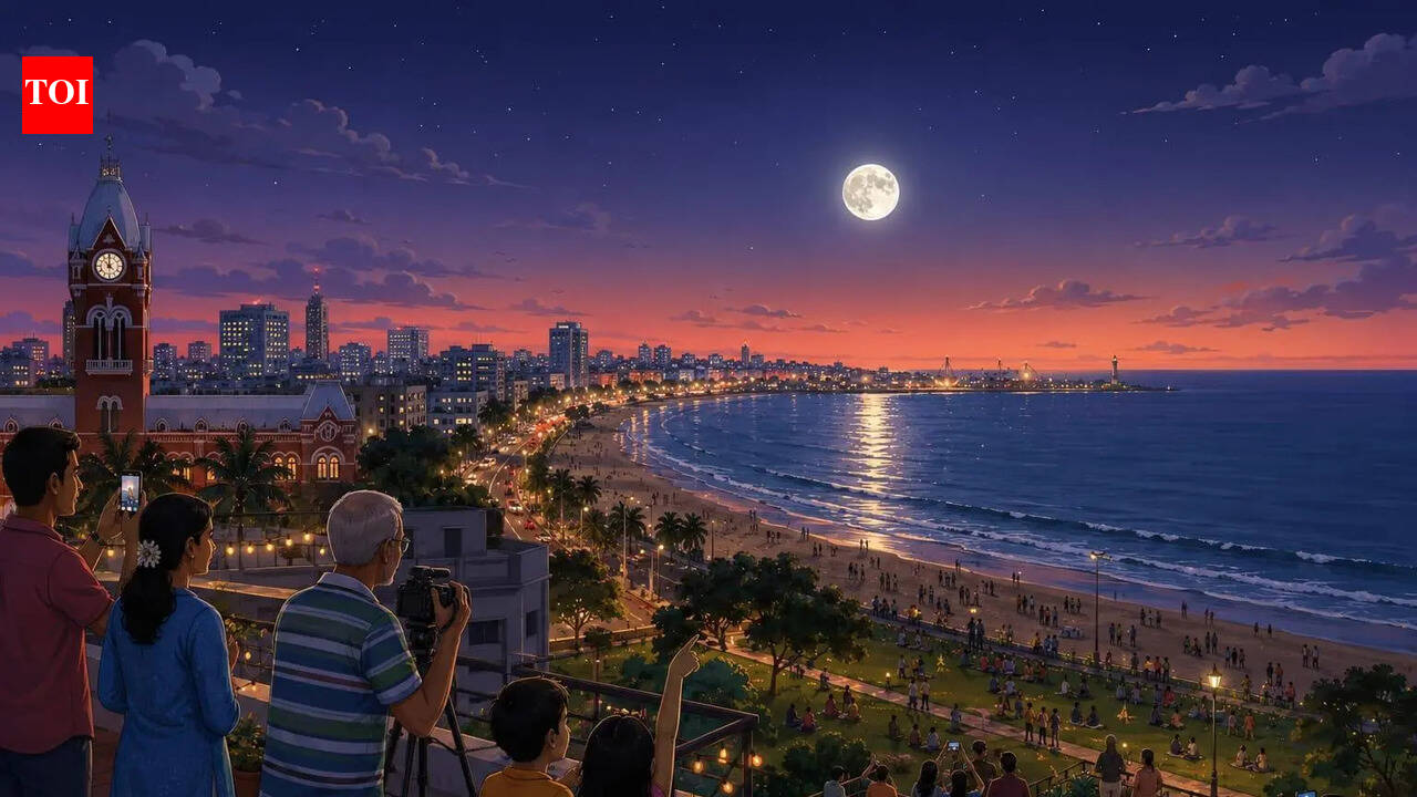 Blue micromoon to grace Chennai | Chennai News - The Times of India
